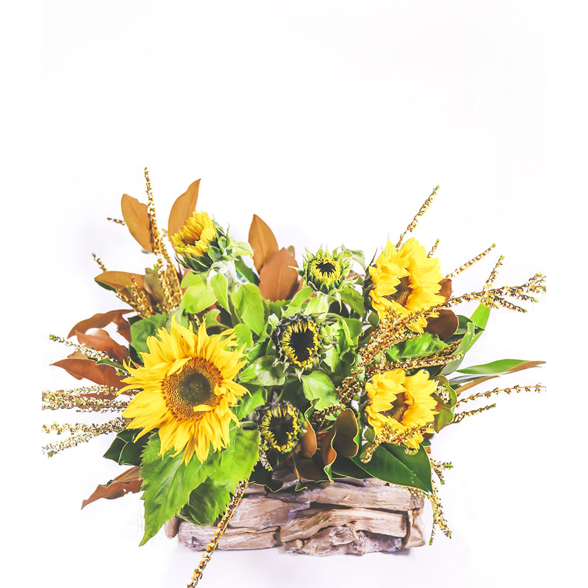 Sunflower - Adriana Florist